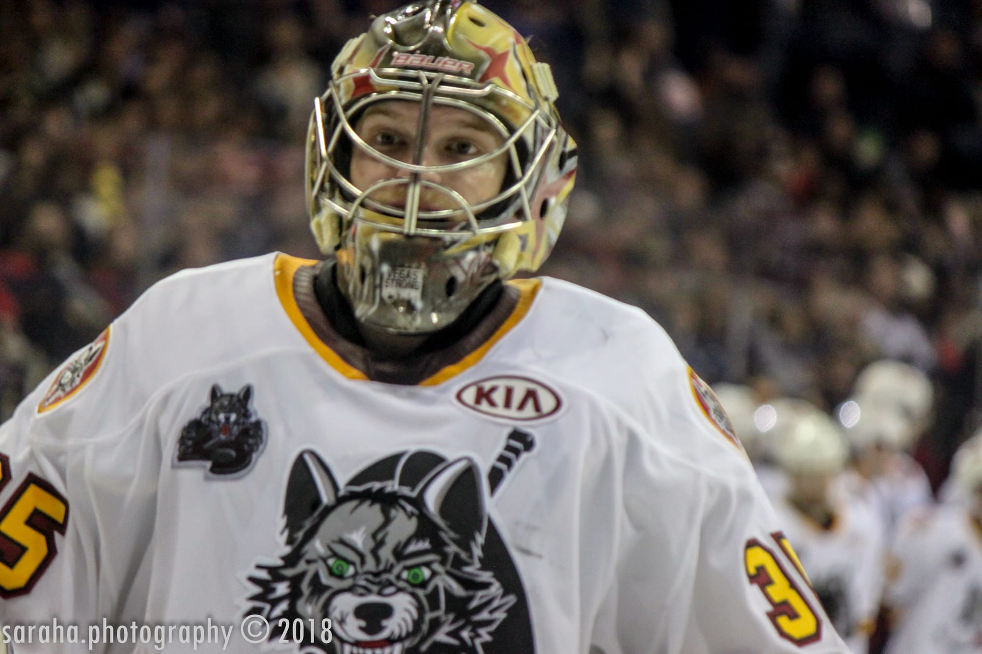 Wolves On The Brink, But Not In Unfamiliar Territory