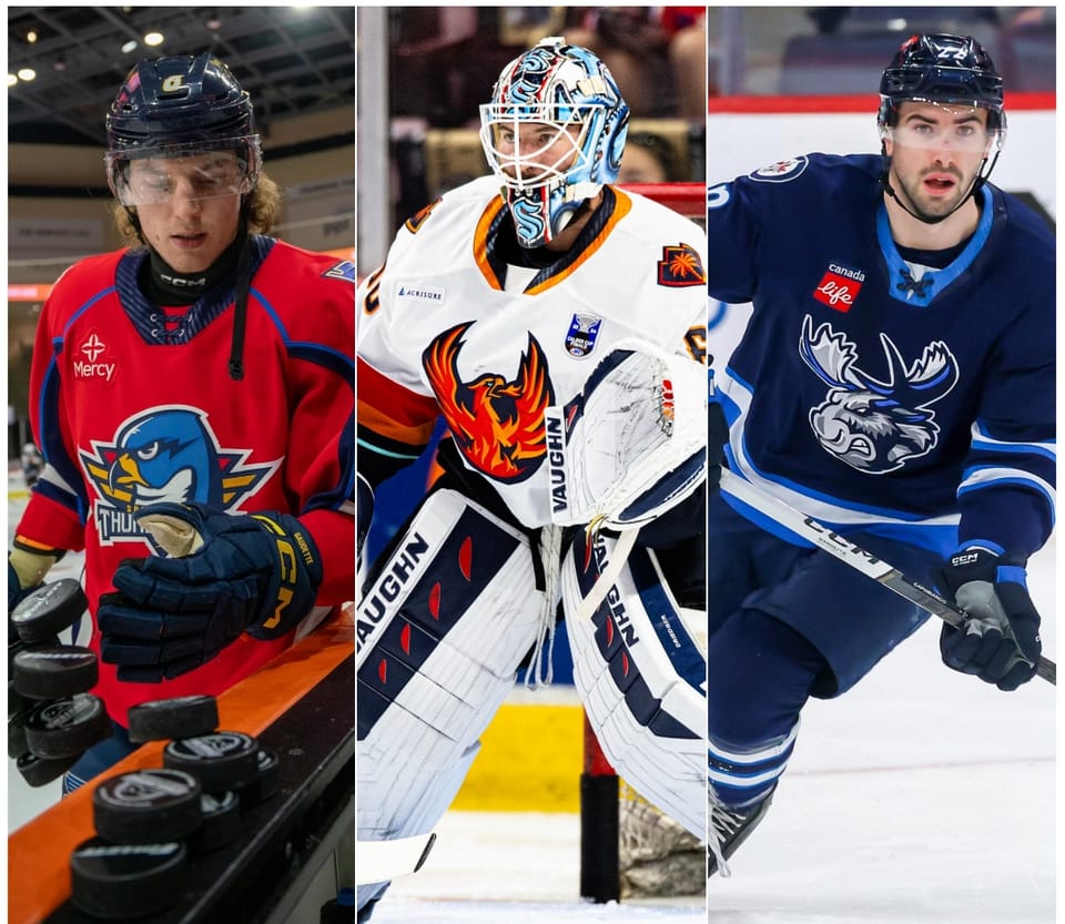 Inside AHL Hockey: 2024 AHL Free Agency 'The Big Board' (Version 2.0)